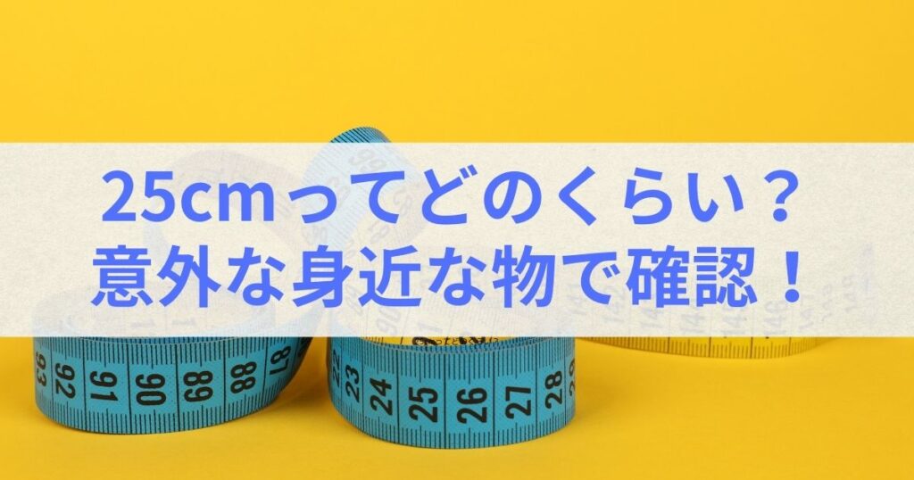 25cmってどのくらい？意外な身近な物で確認！ | らむずブログ
